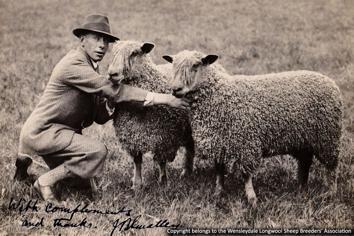 Breed History - Wensleydale Longwool Sheep Breeders' Association
