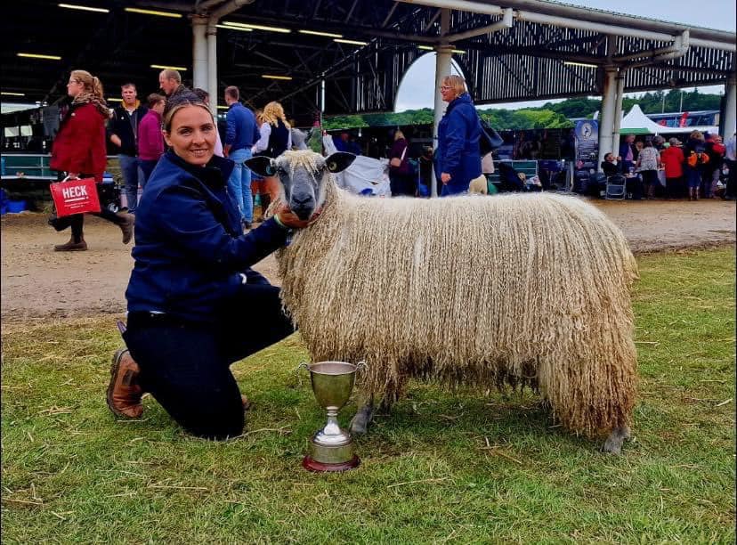 Great Yorkshire Show 2024 - Wensleydale Longwool Sheep Breeders ...